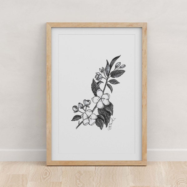 Apple Blossom Print - Etsy