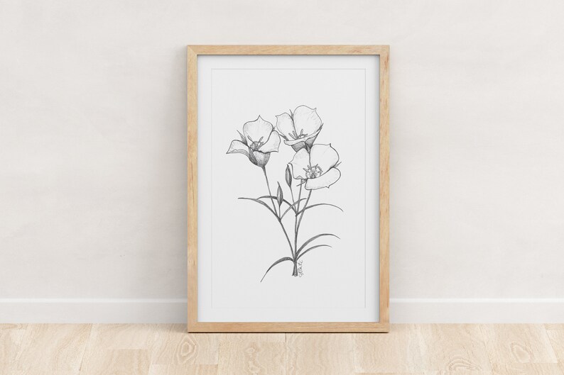 Utah State Flower, Sego Lily Art Print: Botanical Pen and Ink Giclée - Etsy