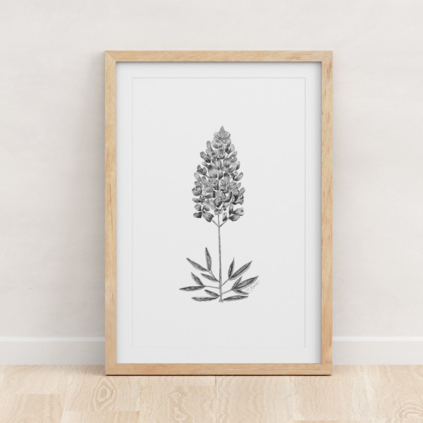 Texas Wildflower Print - Etsy