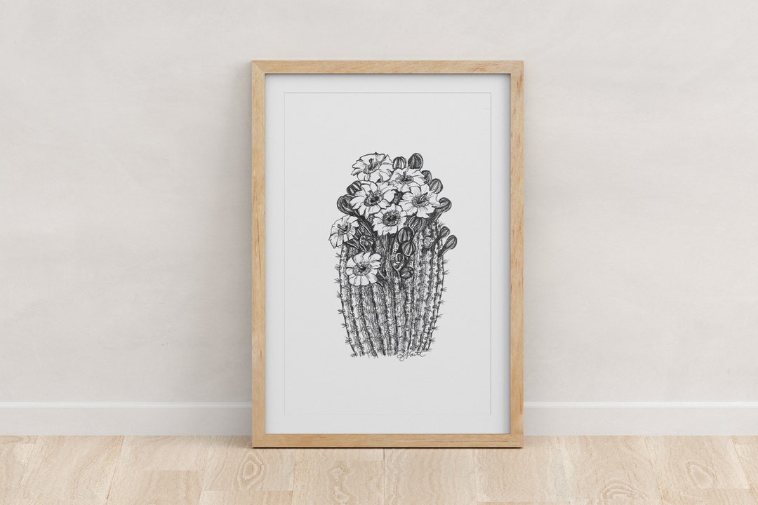 Arizona State Flower, Saguaro Cactus Flower Print: Botanical Pen and ...