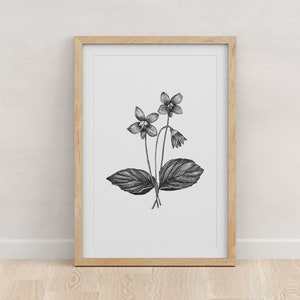 WISCONSIN - Fine Art Print - Giclée - State Flowers - Violet Botanical ...