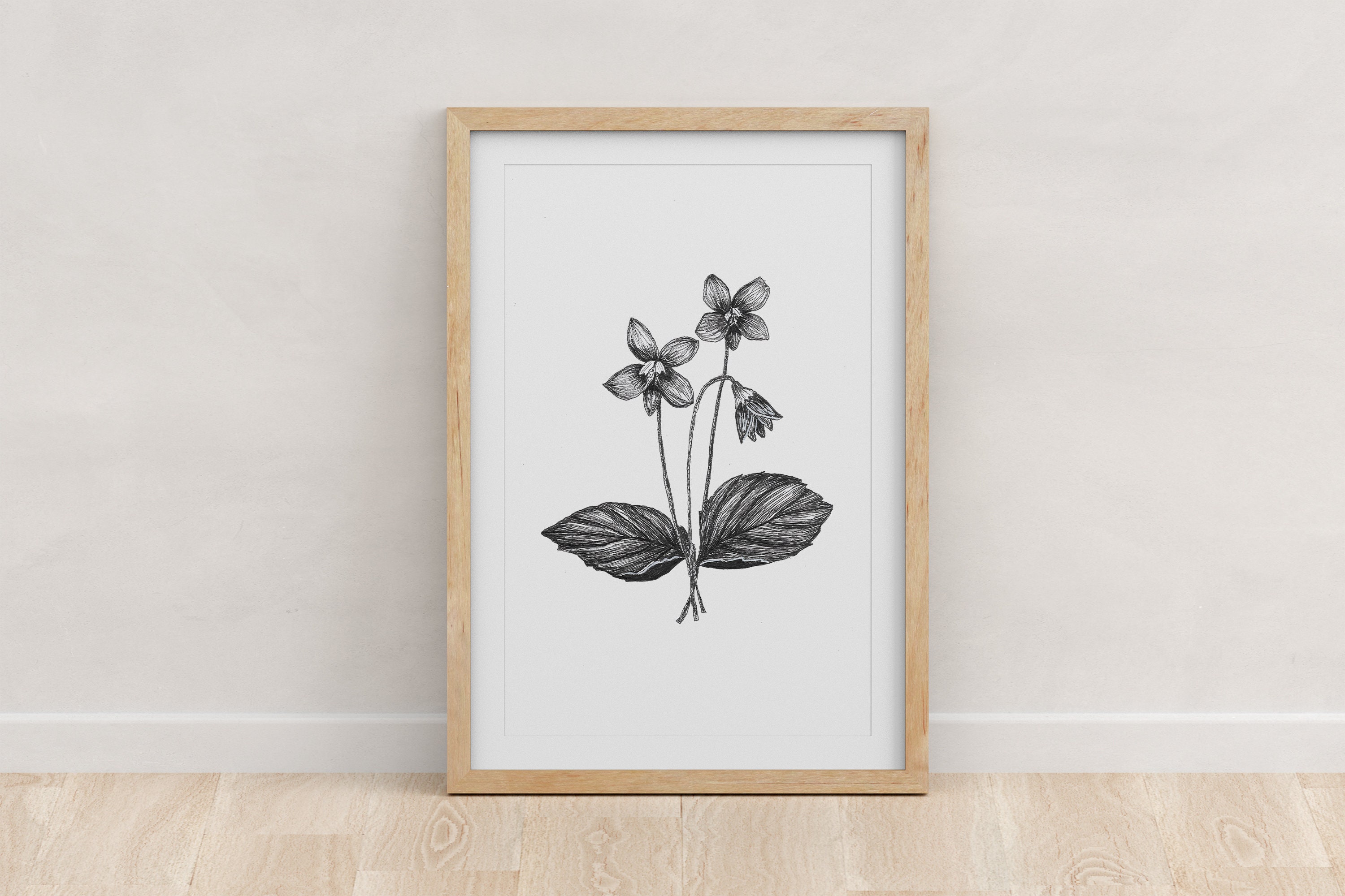 WISCONSIN Fine Art Print Giclée State Flowers Violet Botanical Drawing ...