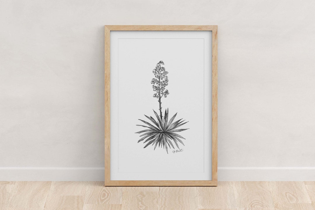 New Mexico State Flower, Yucca Flower Art Print Botanical Pen & Ink ...