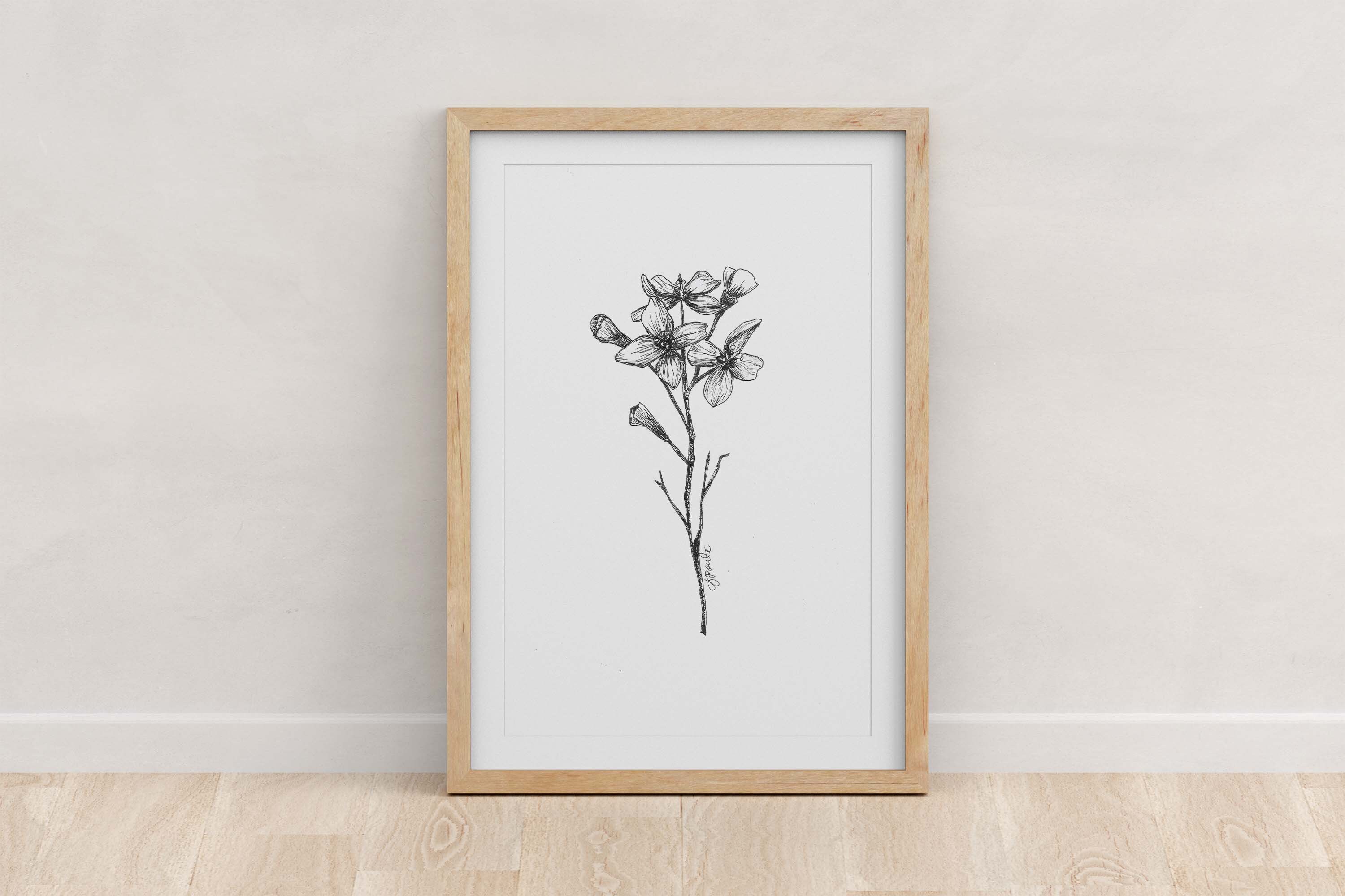 Mayflower Flower Drawing