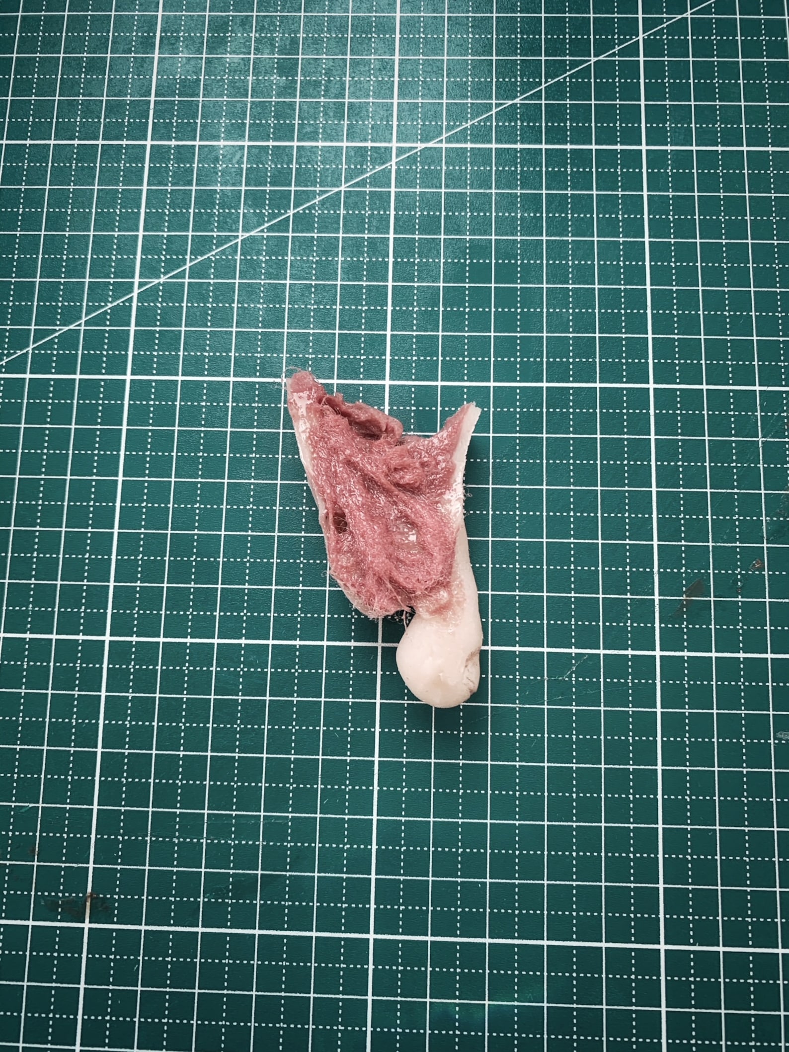 Severed Toe Cosplay Realistic Escape Room Silicone Horror - Etsy UK