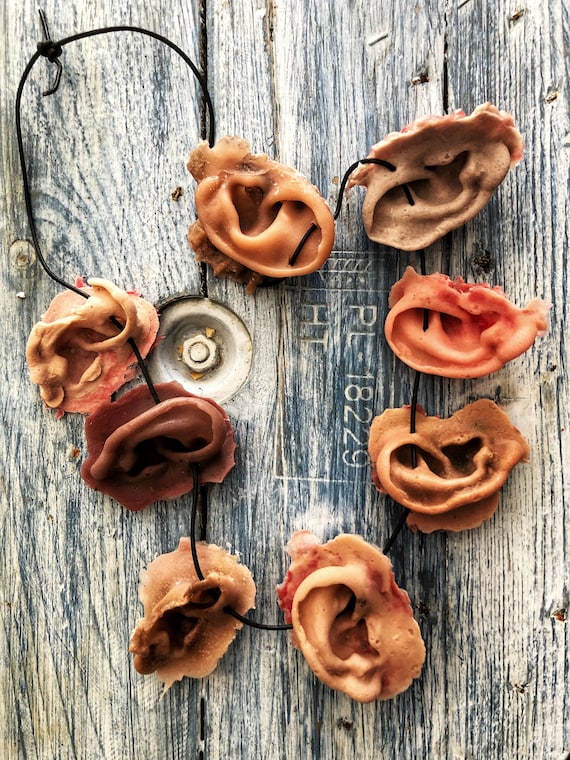 Buy Severed Ear Necklace Chain String Human Horror Bloody Jewelry Ornament Decoration Skin Head Silicone Detailed Customized Crafted Halloween Online in India Etsy