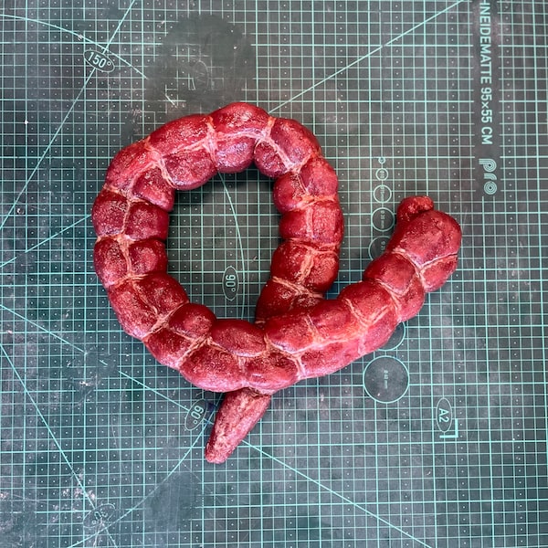 Fake Intestine - Etsy