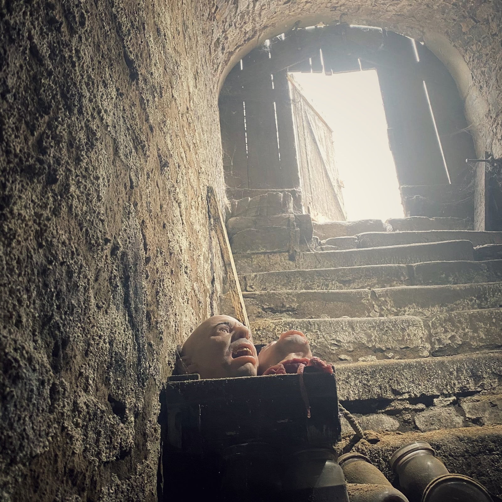 Realistic Severed Human Head Out of Silicone With Hair Eyes | Etsy UK