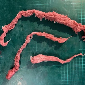 Guts Halloween Horror Entrails Deco Party Prop Splatter Blood Movie ...