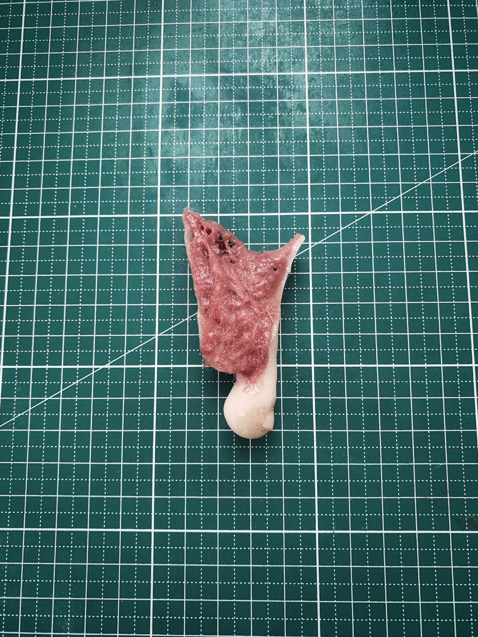 Severed toe cosplay realistic escape room silicone horror | Etsy