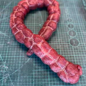 Realistic Human Colon Silicone Flexible Medicine Copy Prop Anatomy ...