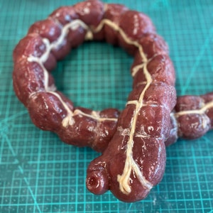 Realistic Human Colon Silicone Flexible Medicine Copy Prop Anatomy ...