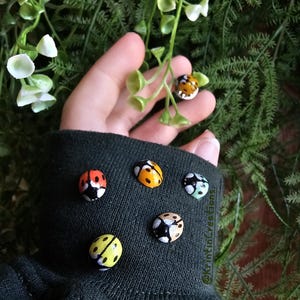 Glitter Colorful Pastel Ladybug Pins, Ladybug Pin, Clay Art, Bug Art ...