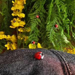 Ladybug Pins, Realistic Ladybug Pin, Clay Art, Bug Art, Spring Gifts ...