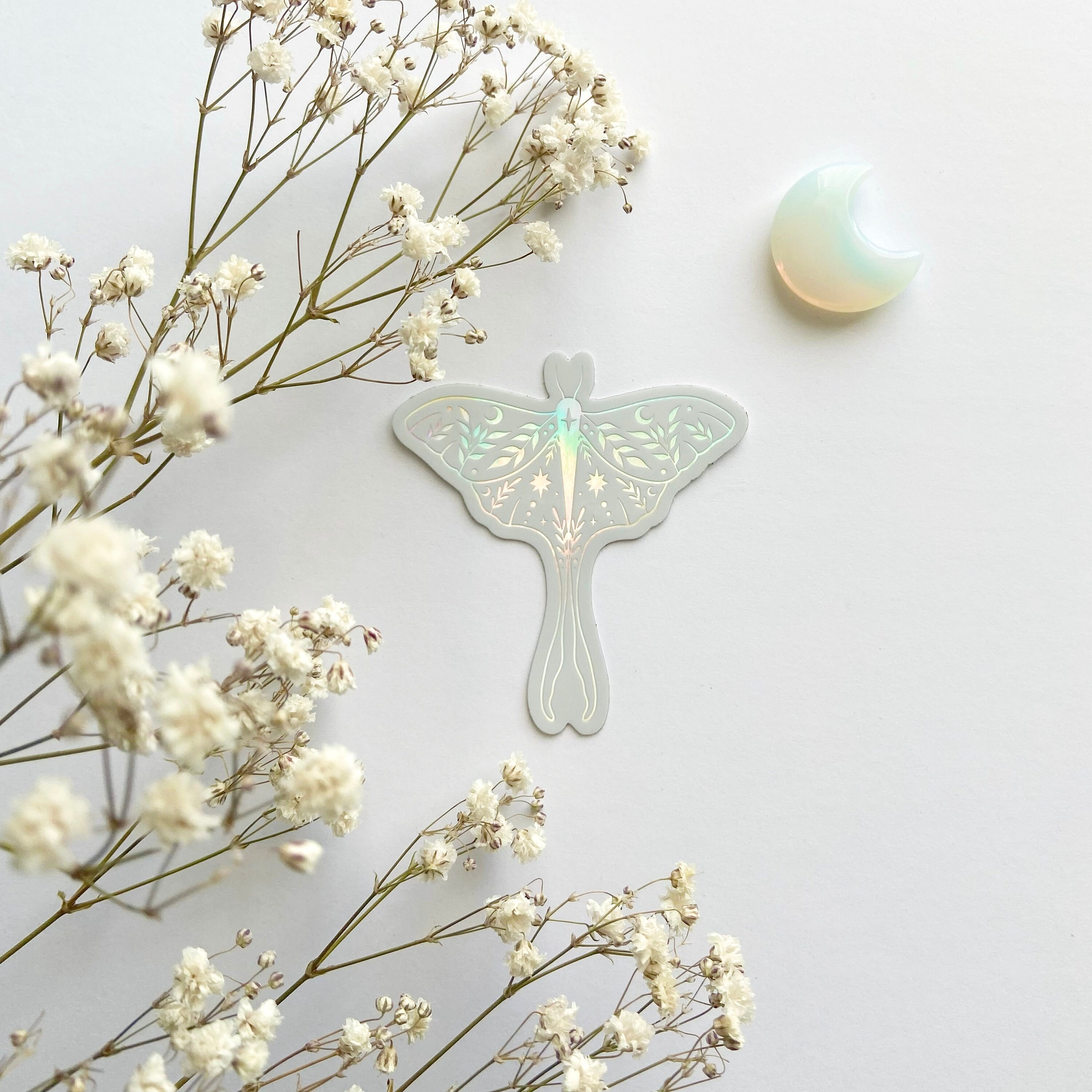 Holographic White Lunar Moth Sticker Moth Sticker - Etsy