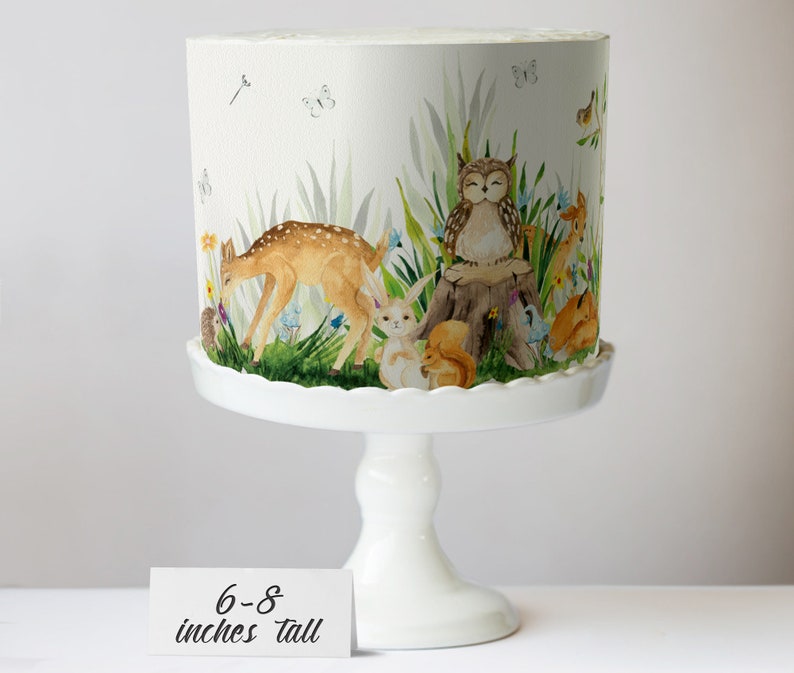 Woodland Baby Animals Edible Image, Cake Wrap, Icing Sheet! Baby ...