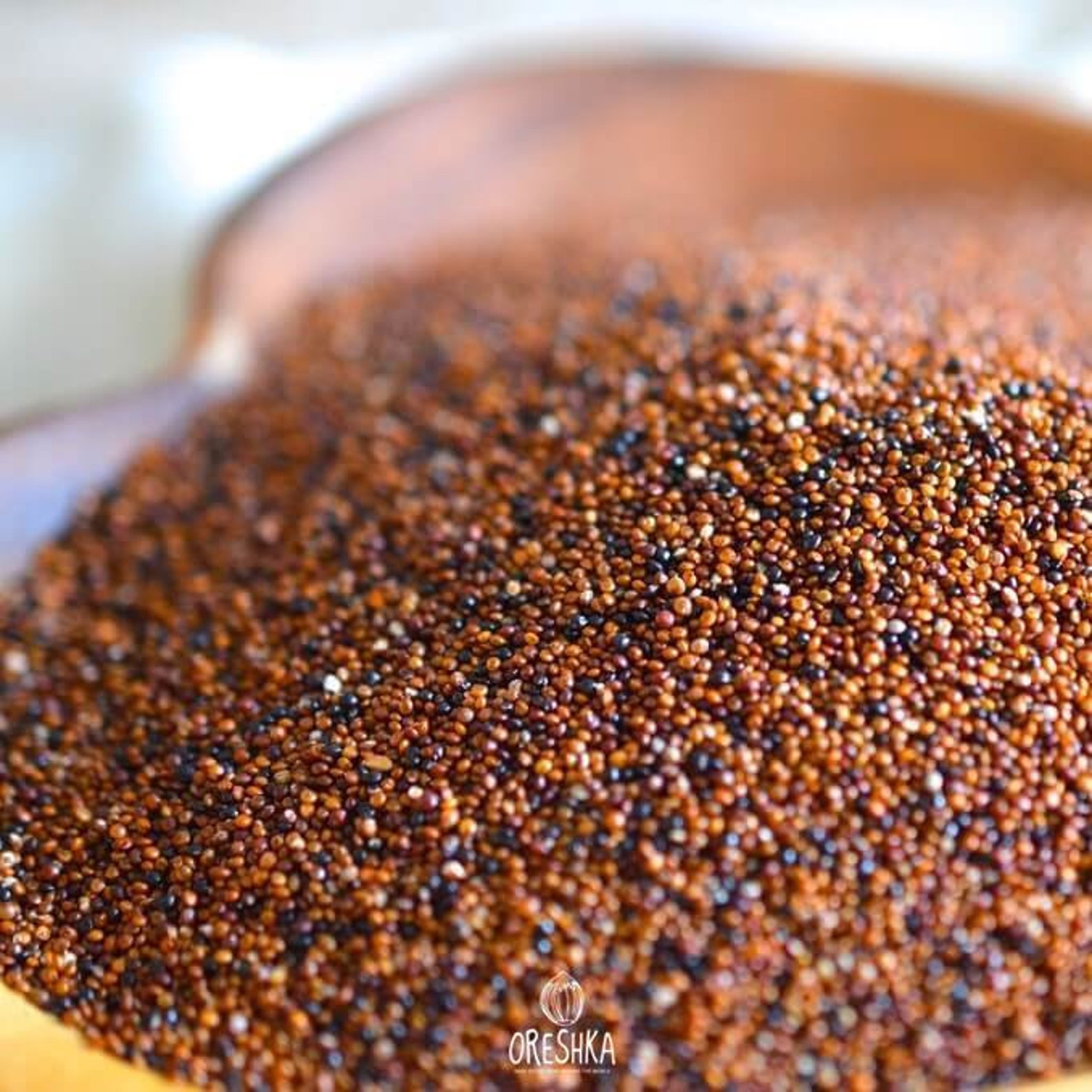 Canihua Chenopodium pallidicaule kaniwa 100 PCS fresh | Etsy