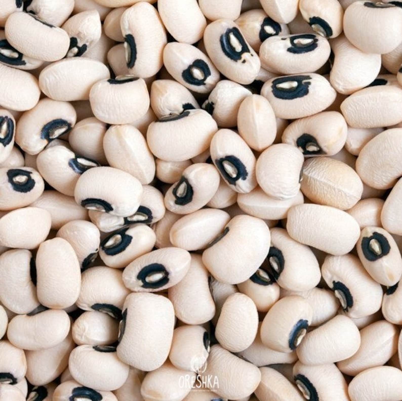 Haricots blancs à lœil noir 10 graines fraîches PCS Vigna | Etsy