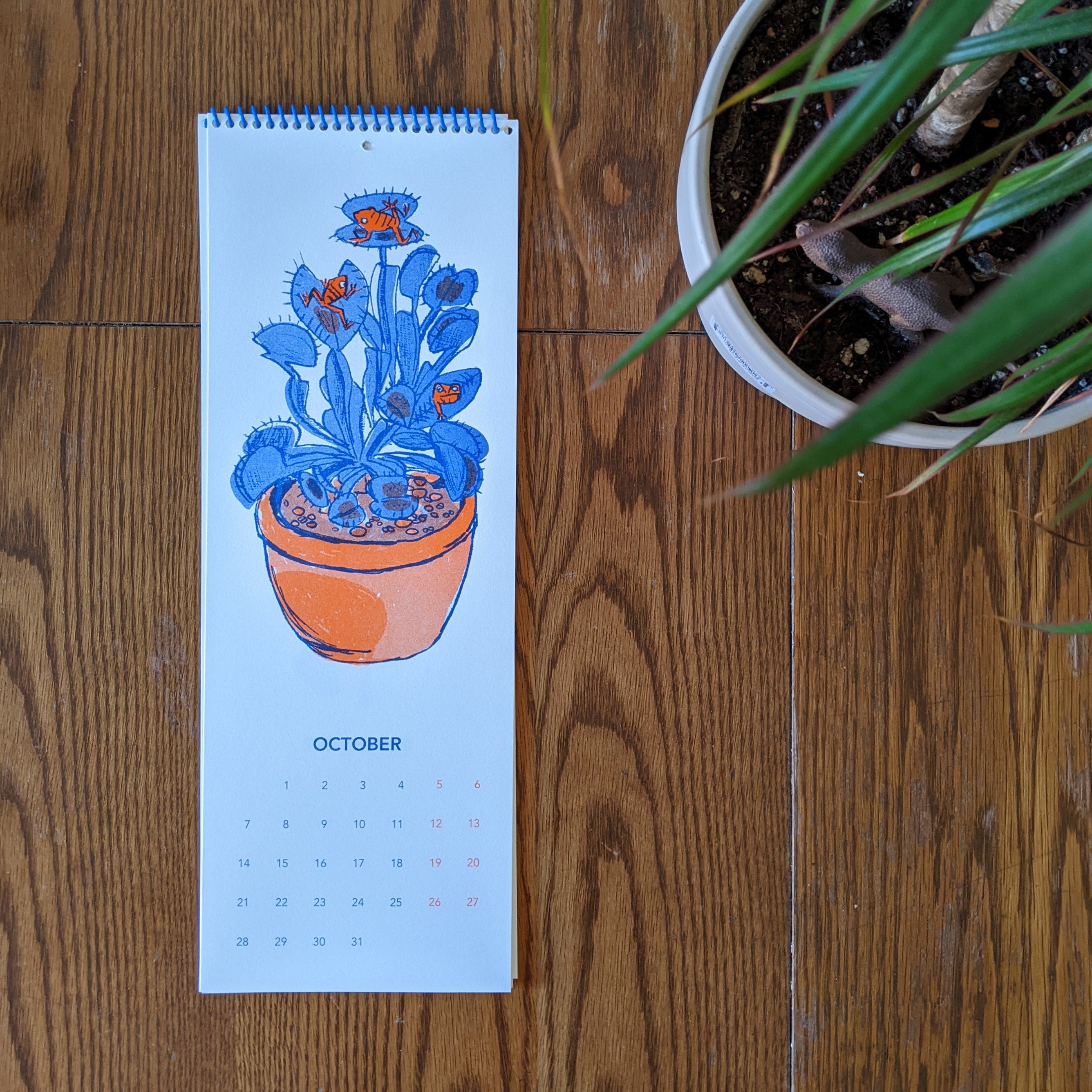 Revenge of the Plants 2024 Riso Calendar - Etsy