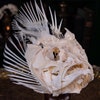 Real Lionfish Skeleton, Dendrochirus, Fish Taxidermy, on Queen Chess ...