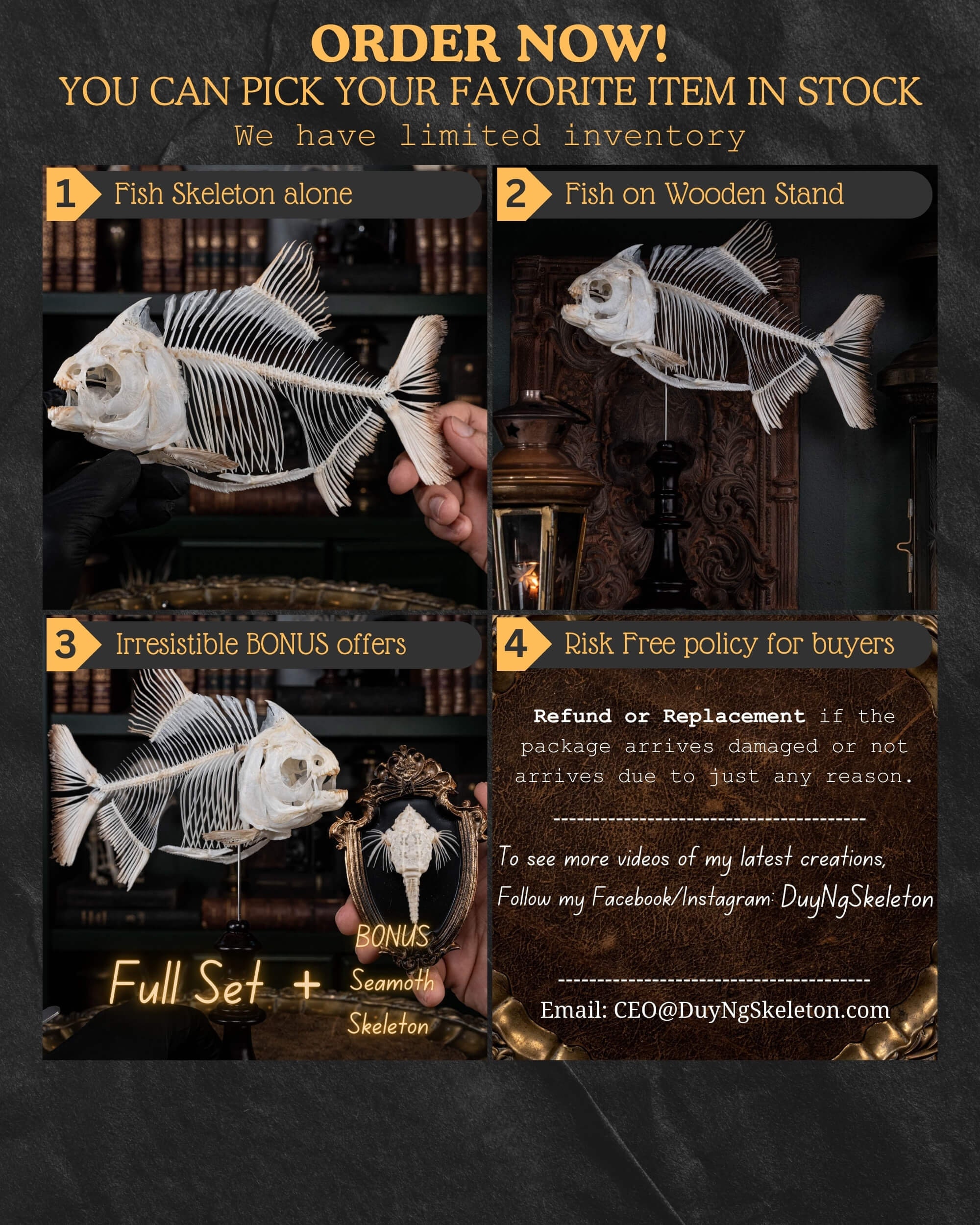 Real Pacu Fish Skeleton, Gothic Home Decor, Oddities and Curiosities ...
