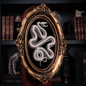 Snake Skeleton on Vintage Frame, Taxidermy Art Snake, Gothic Wall Decor ...