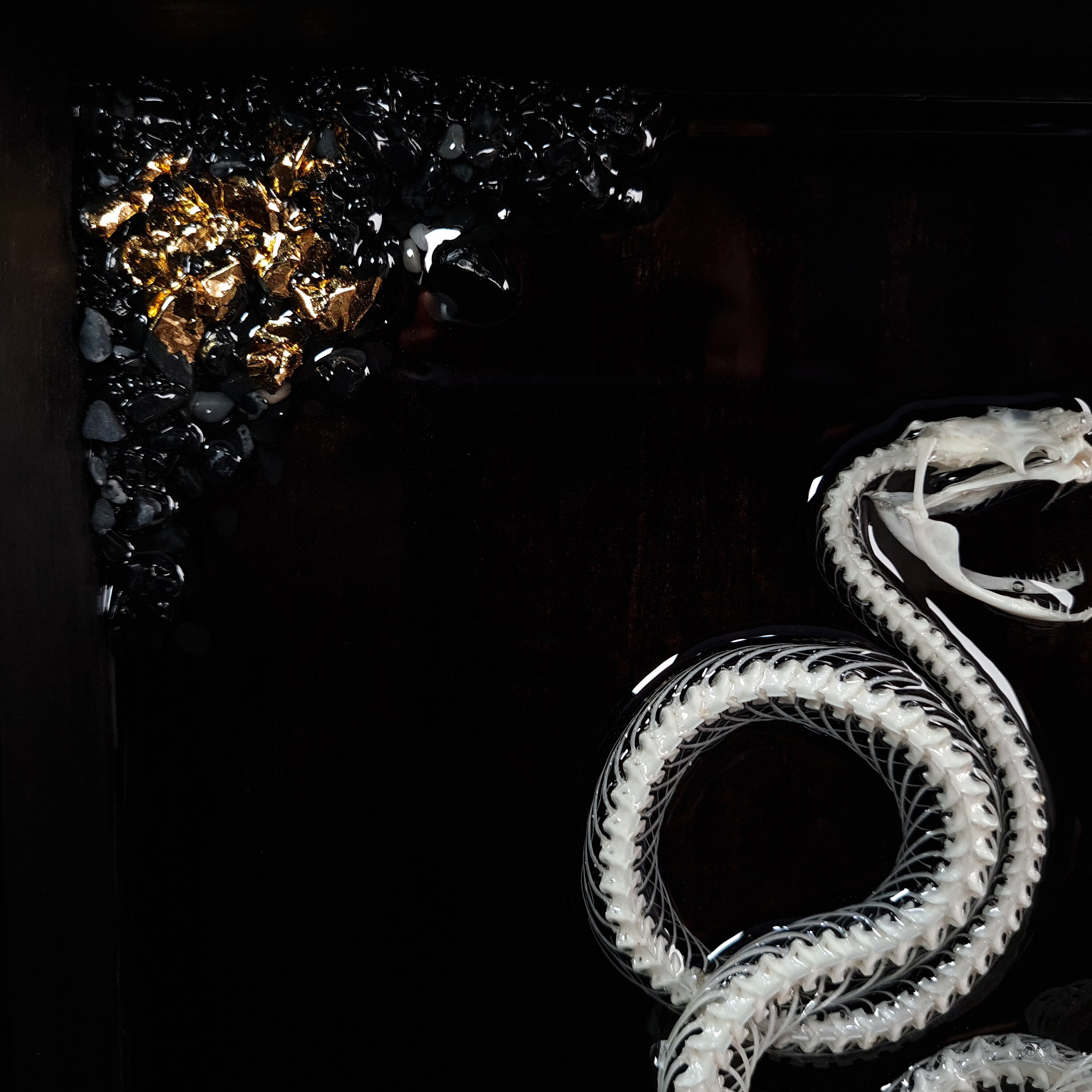 Real Viper Snake Skeleton Ouroboros Caduceus 24K Gold Leaf - Etsy Australia