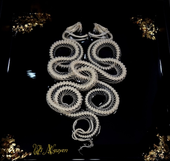 Real Viper Snake Skeleton Ouroboros Caduceus 24K Gold Leaf | Etsy Australia