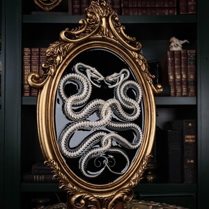 Real Snake Skeleton on Vintage Frame, Caduceus Ouroboros Snake ...