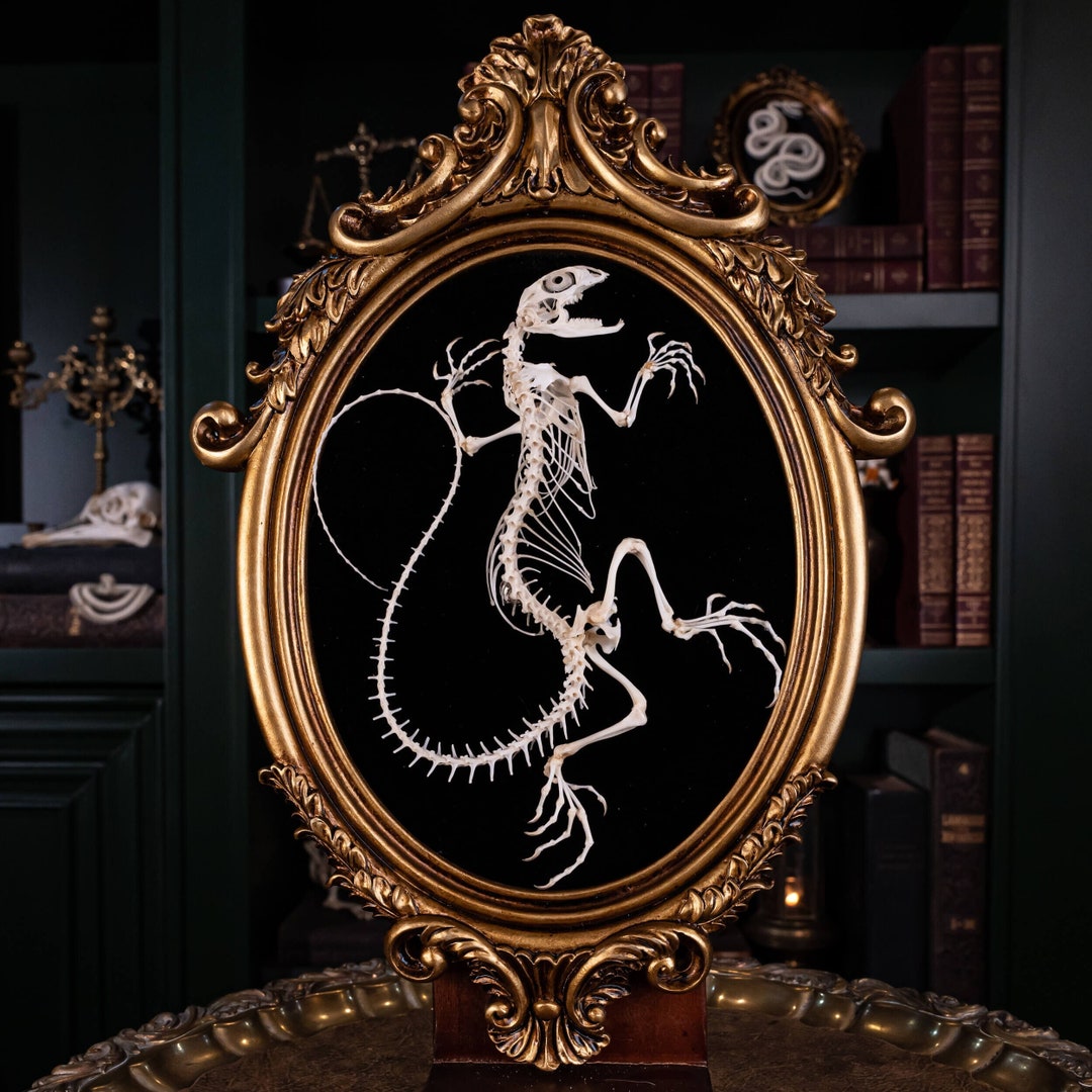 Agama Lizard Skeleton Art: Dinosaur Fossil Theme in Gothic Victorian ...