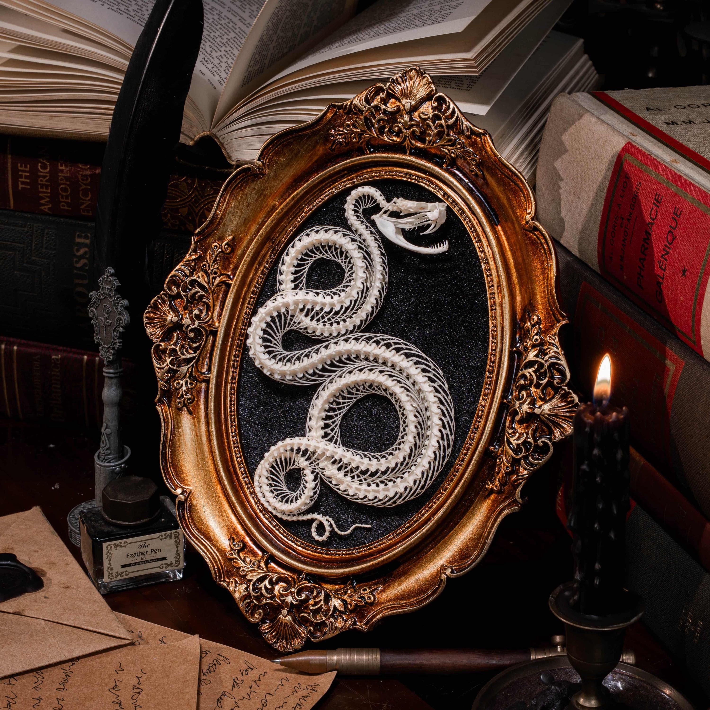 Framed Viper Snake Skeleton: Gothic Natural History Wall Art - Etsy ...