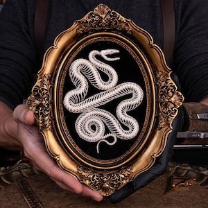 Snake Skeleton on Vintage Frame, Taxidermy Art Snake, Gothic Wall Decor ...