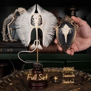 Stingray Skeleton Real Fish Taxidermy | Nautical Gothic Decor, Ocean ...