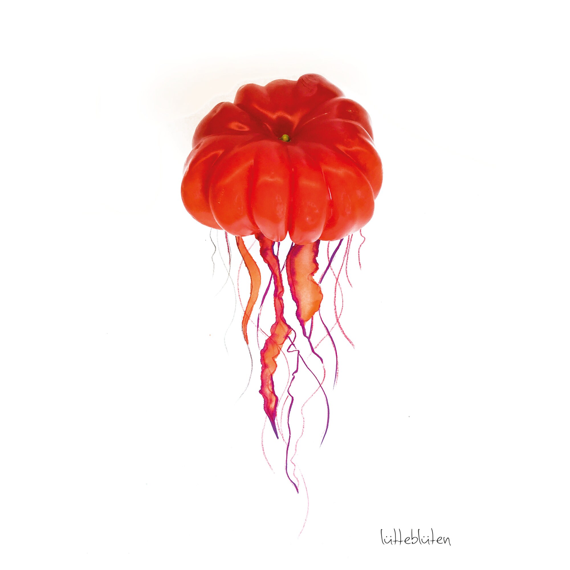 Handmade Illustrated Card "tomato" - With Color Core and Envelope ...