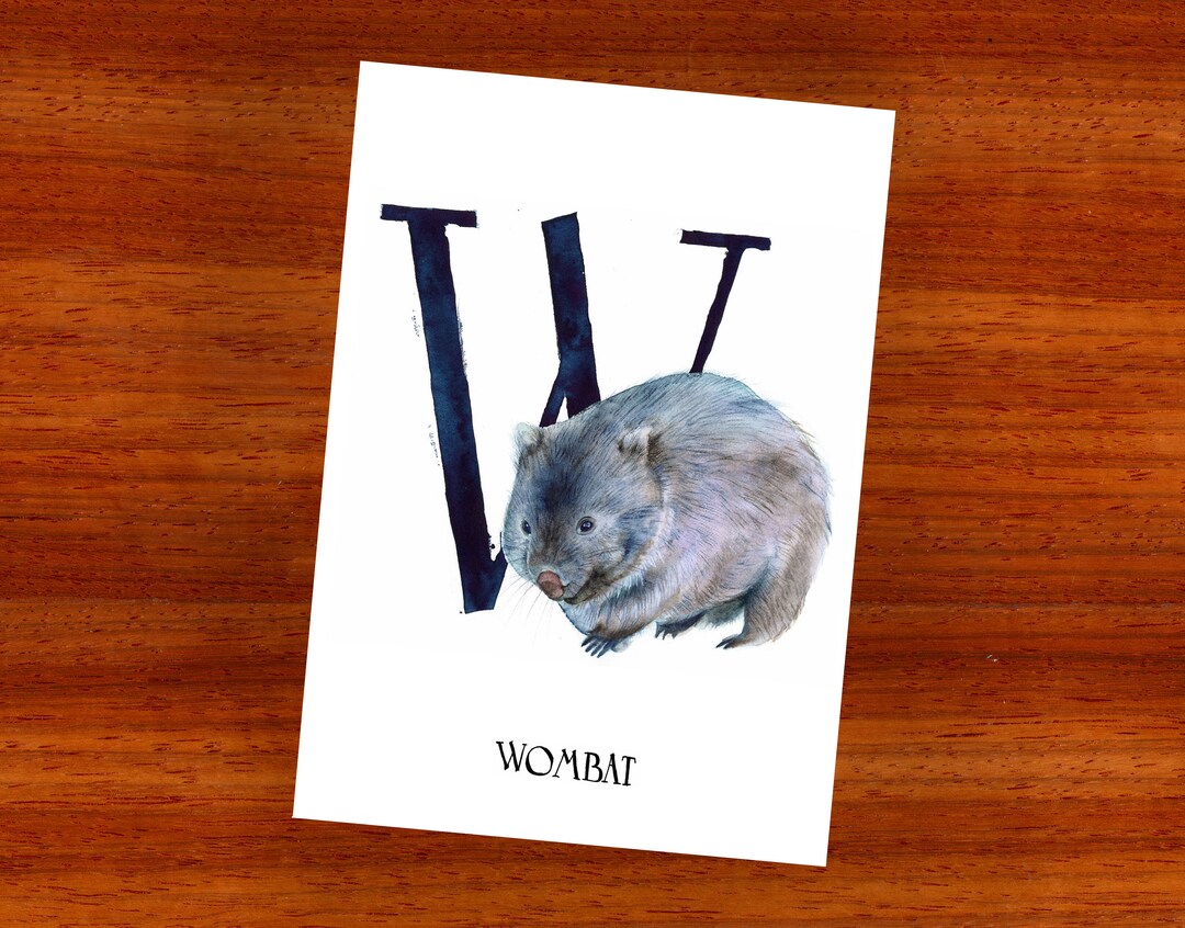 Postcard w for Wombat - Etsy