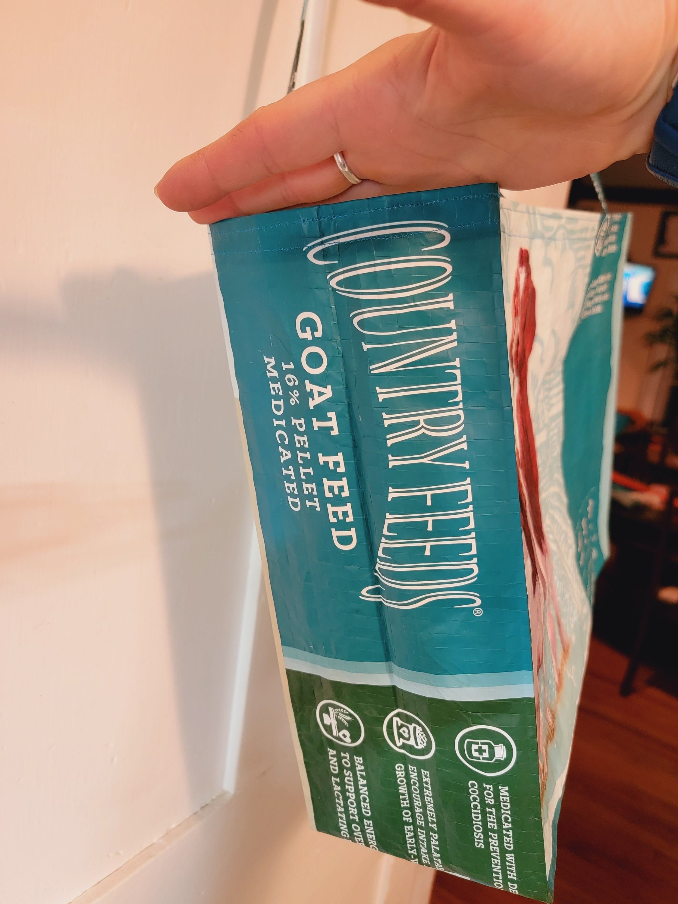 Beautiful Boer Goat Bag-teal - Etsy