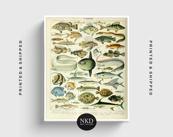 Marine Biology Art - Etsy