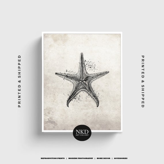 Vintage Starfish Photography