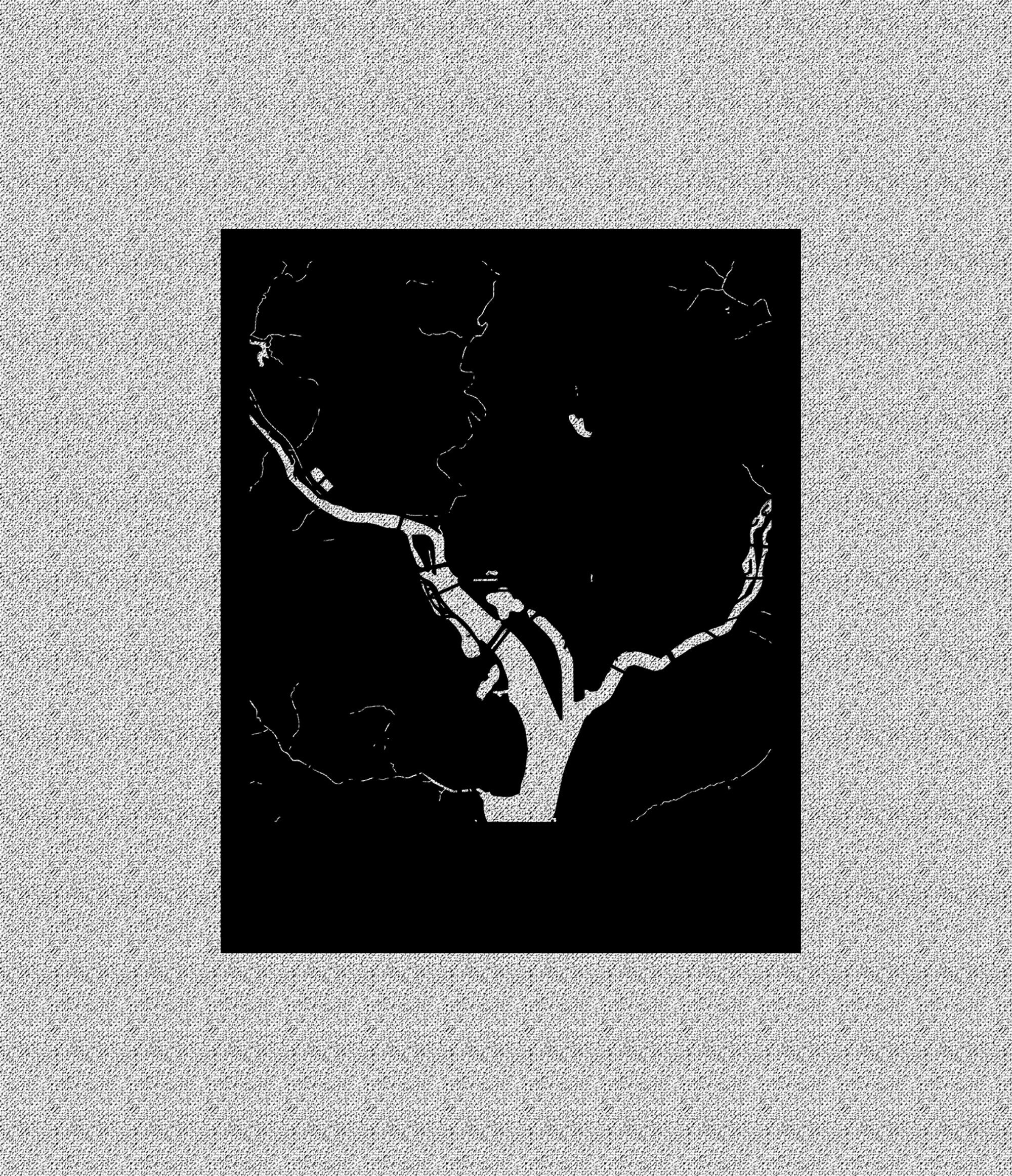 Washington DC Land and Roads Map File for Laser Cut Instant Download ...
