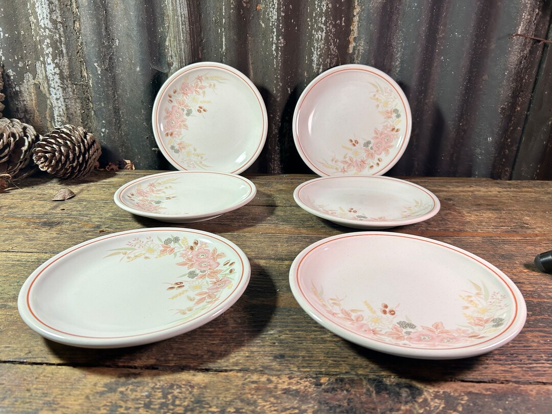 Vintage 1980s Side Plates X6 / BOOTS HEDGE ROSE / Country Kitchen ...