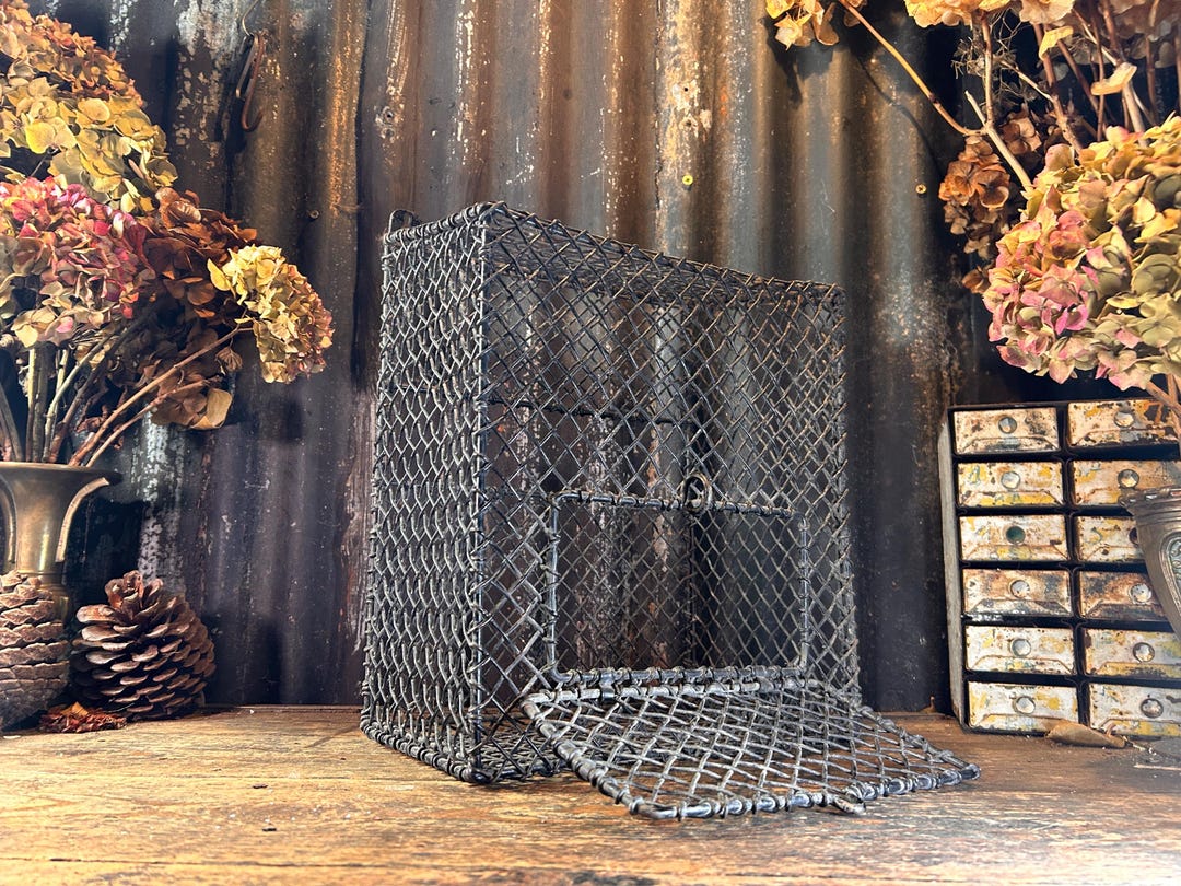 Antique Painted Brass Wirework / LETTER MAIL CAGE / Door Mount Letter ...