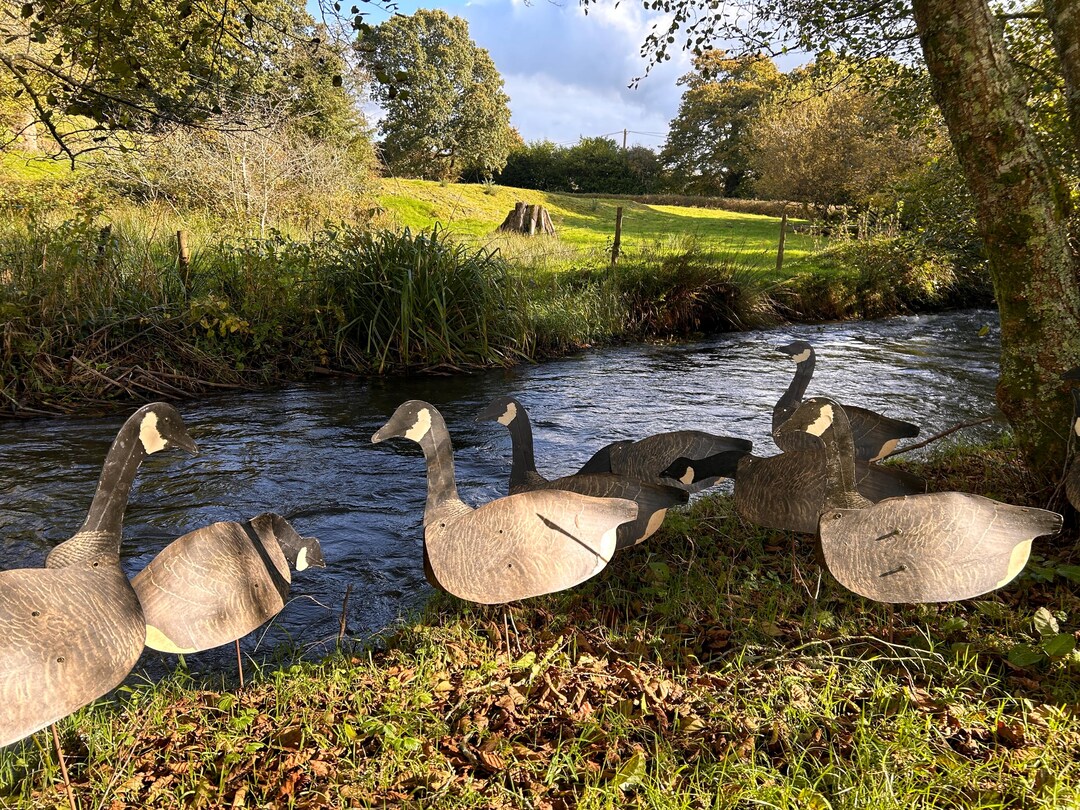 Rare Johnson’s Decoy Set X 12 / CANADA GOOSE DECOY / Fold up Multi ...