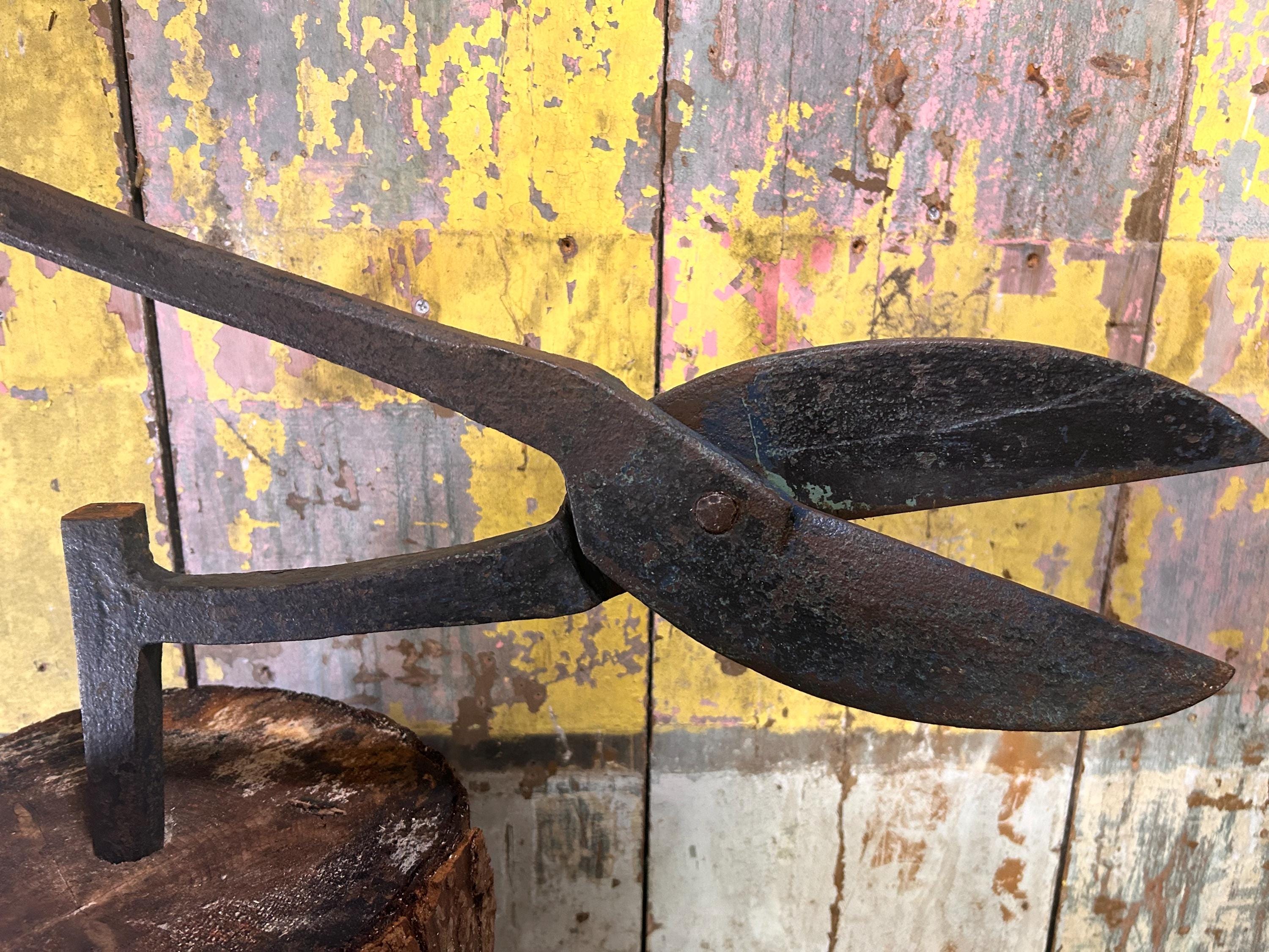 Huge 19th Century / BLACKSMITH BENCH SHEARS / Anvil Snips Hand Forged ...