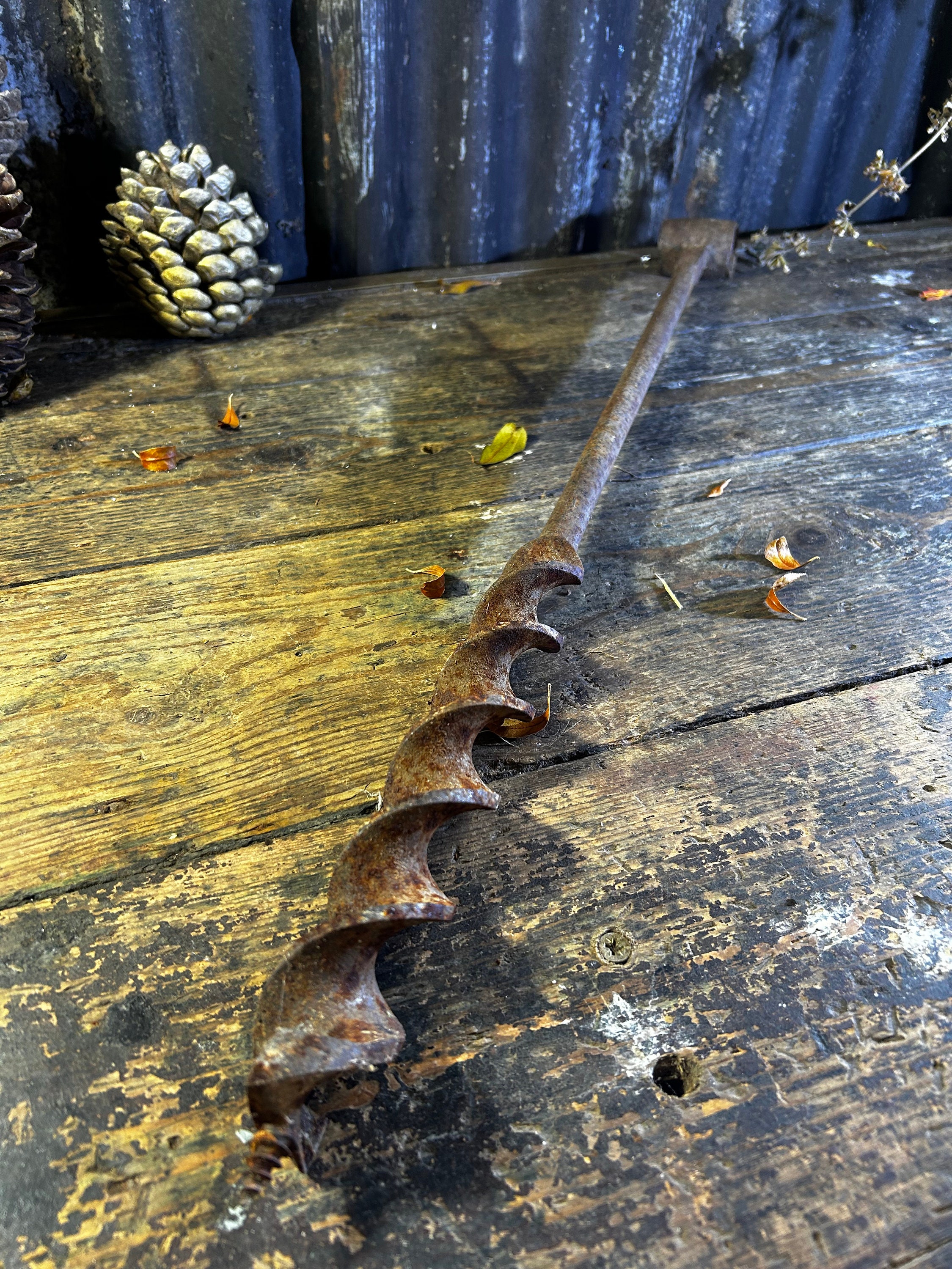 Antique Large Scotch Eyed / AUGER BRADAWL GIMLET / Late 19th Century ...