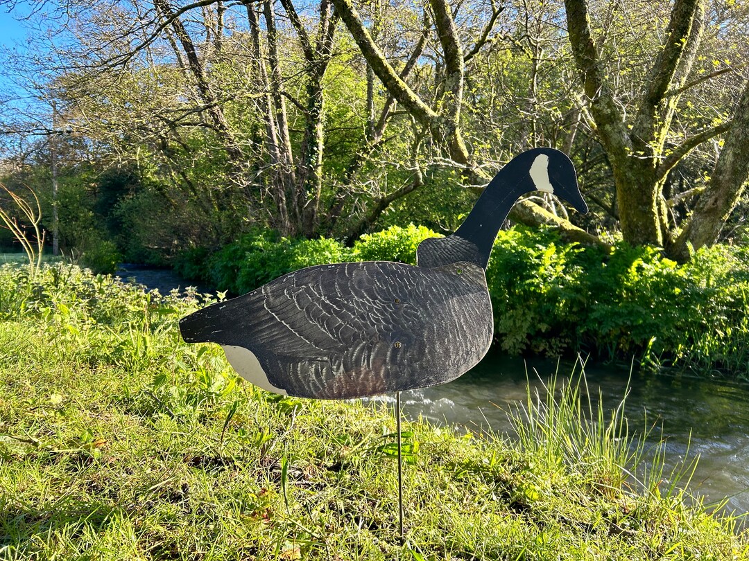 Life Size Vintage Decoy / CANADA GOOSE DECOY / Fold up Multi Positions ...
