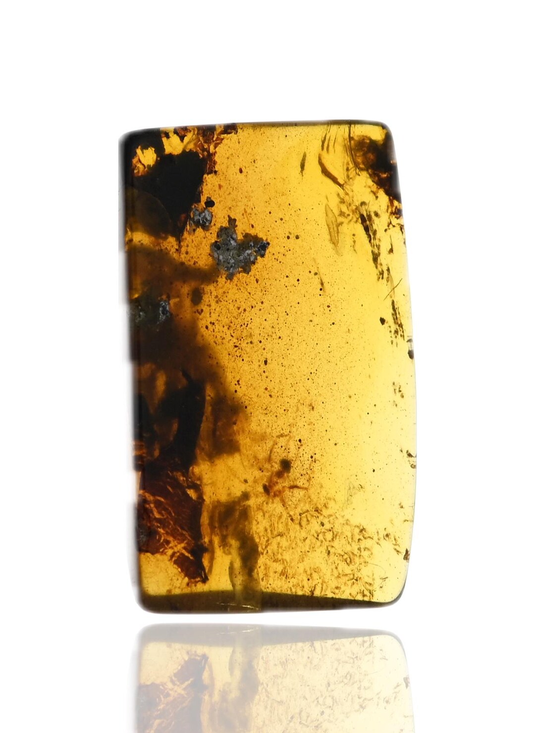 Swarm of Springtails, Fossil Insect Inclusion in Burmese Amber - Etsy