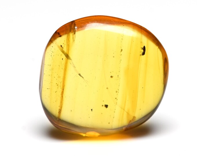 GENUINE Fossil Insect Inclusion in Burmese Amber Kit - Includes ...