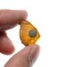 Raw Burmese Amber With Rare Fossil Crinoid - Etsy