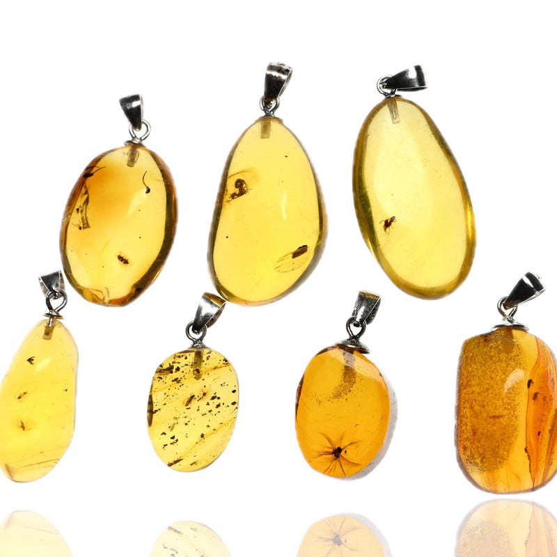 Spider Amber Inclusion - Etsy