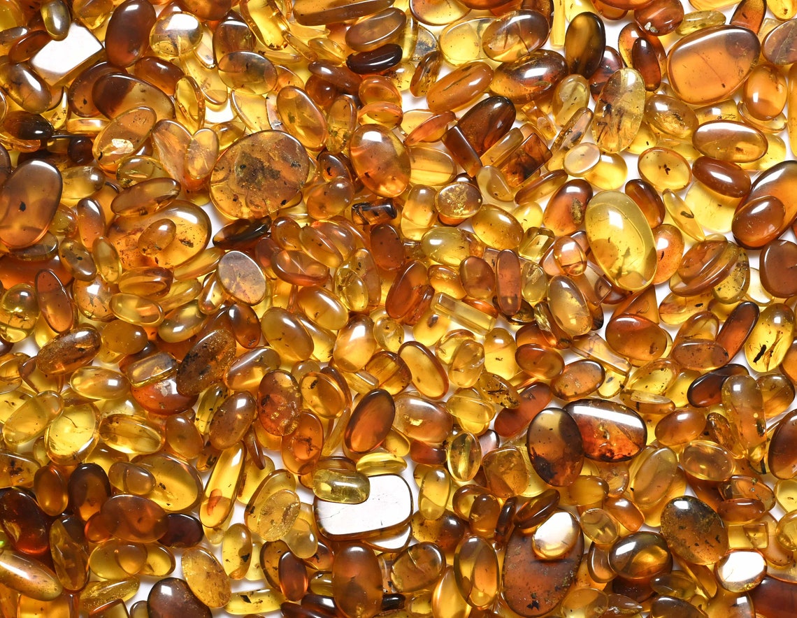 GENUINE Fossil Insect Inclusion in Burmese Amber Price per Piece - Etsy